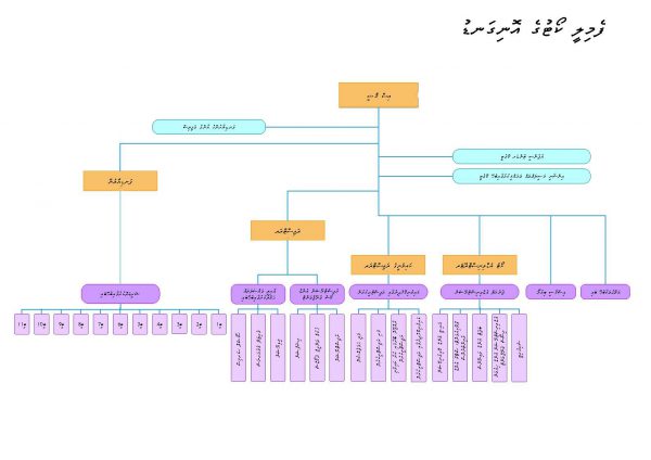 އޮގަނައިޒޭޝަނަލް ސްޓްރަކްޗަރ – ފެމިލީކޯޓު